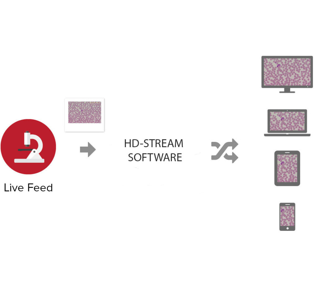 HD Stream - Dage-MTI